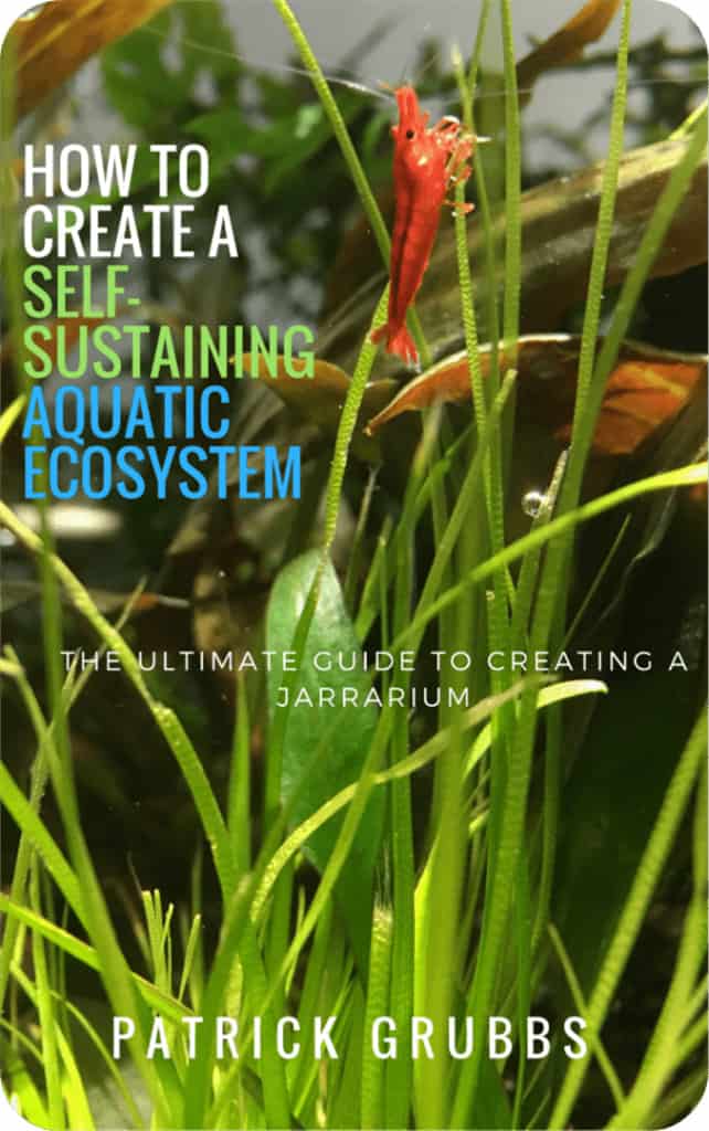 Home - Self-Sustaining Ecosystem